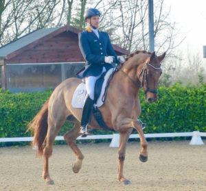 About Charlie Hutton - Charlie Hutton Equestrian