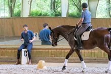 Charlie Hutton Equestrian Home - Charlie Hutton Equestrian